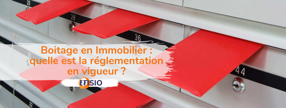 Boitage en Immobilier : Quelle est la Réglementation en Vigueur